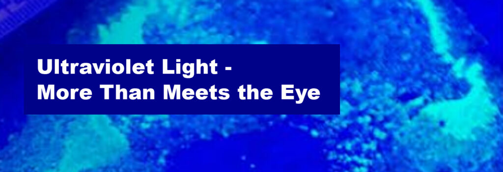 Ultraviolet Light - More Than Meets the Eye | Exclusively Contents, Inc.